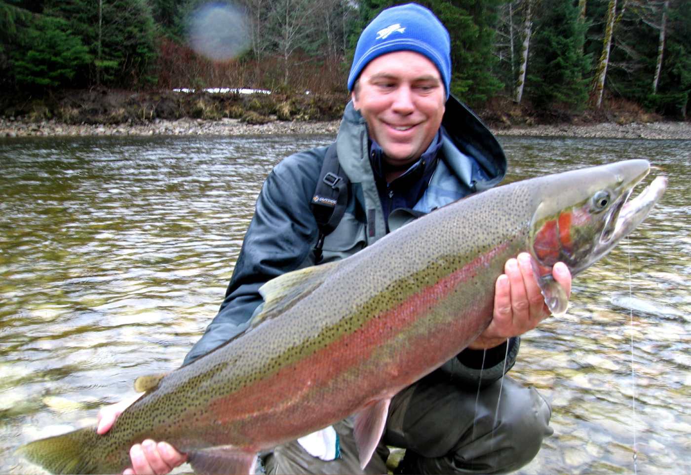 Can you keep a wild steelhead?