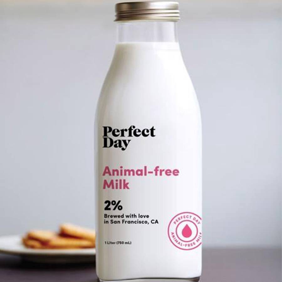Can you make milk without an animal?