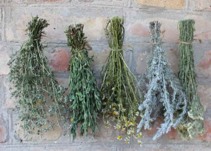 Can you overcook dried herbs?
