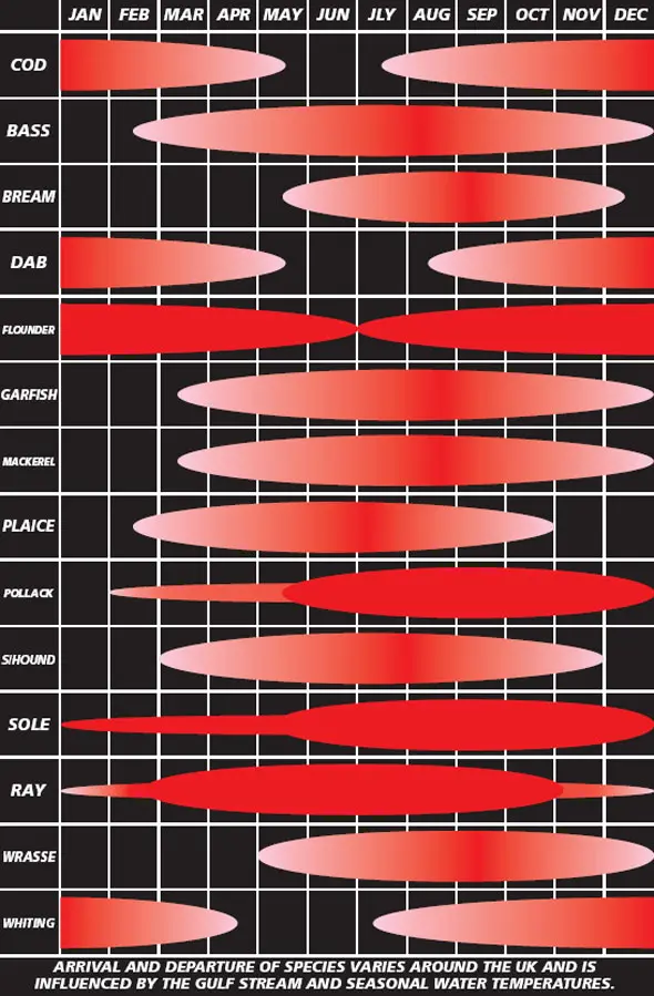 Can you sea fish all year round UK?
