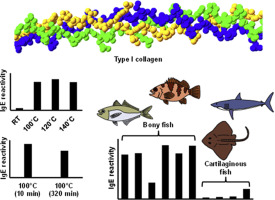 Can you take collagen If you have a fish allergy?