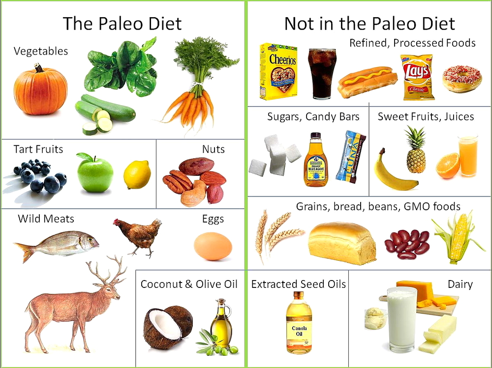 Do athletes eat Paleo?