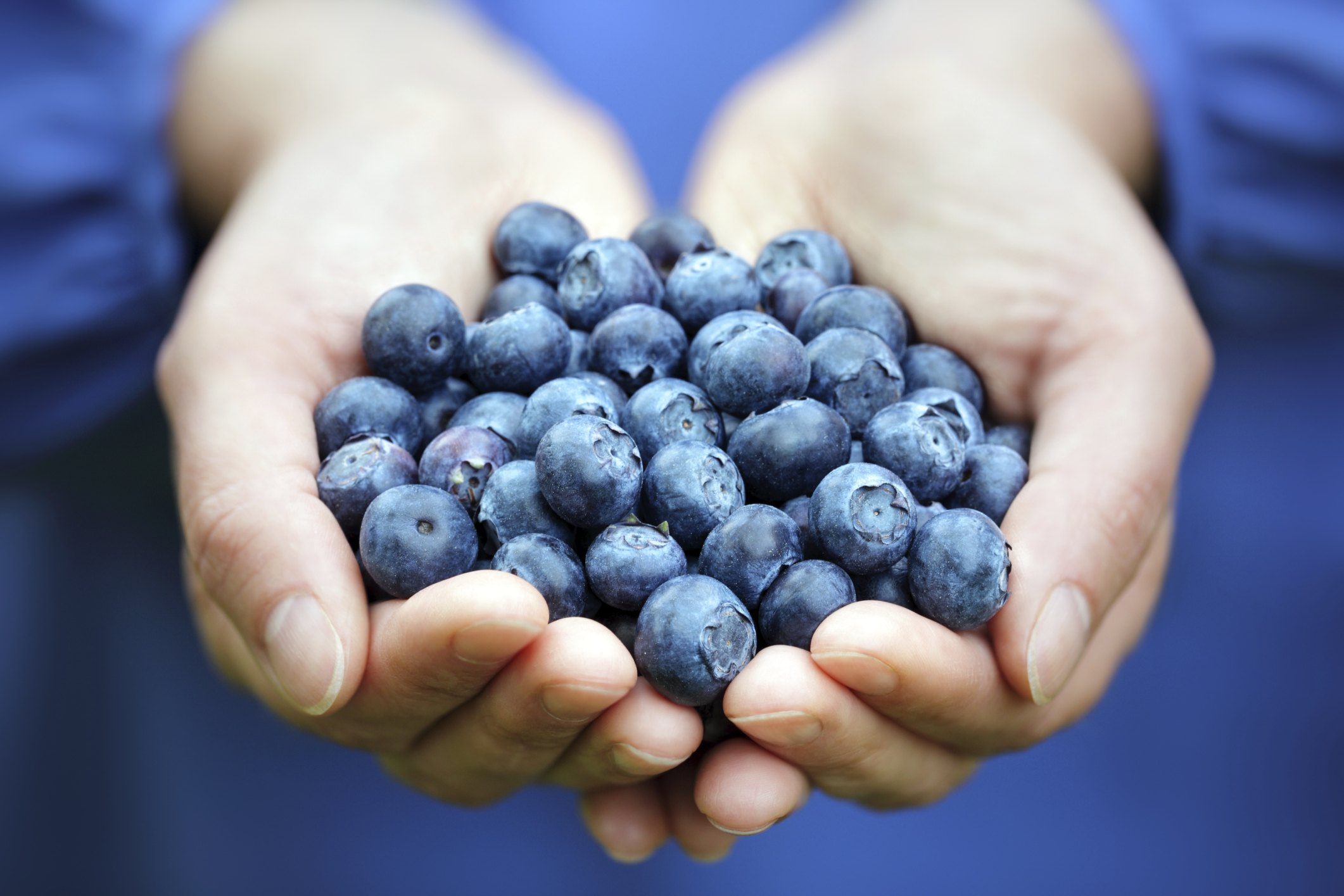 Do blueberries have negative effects?