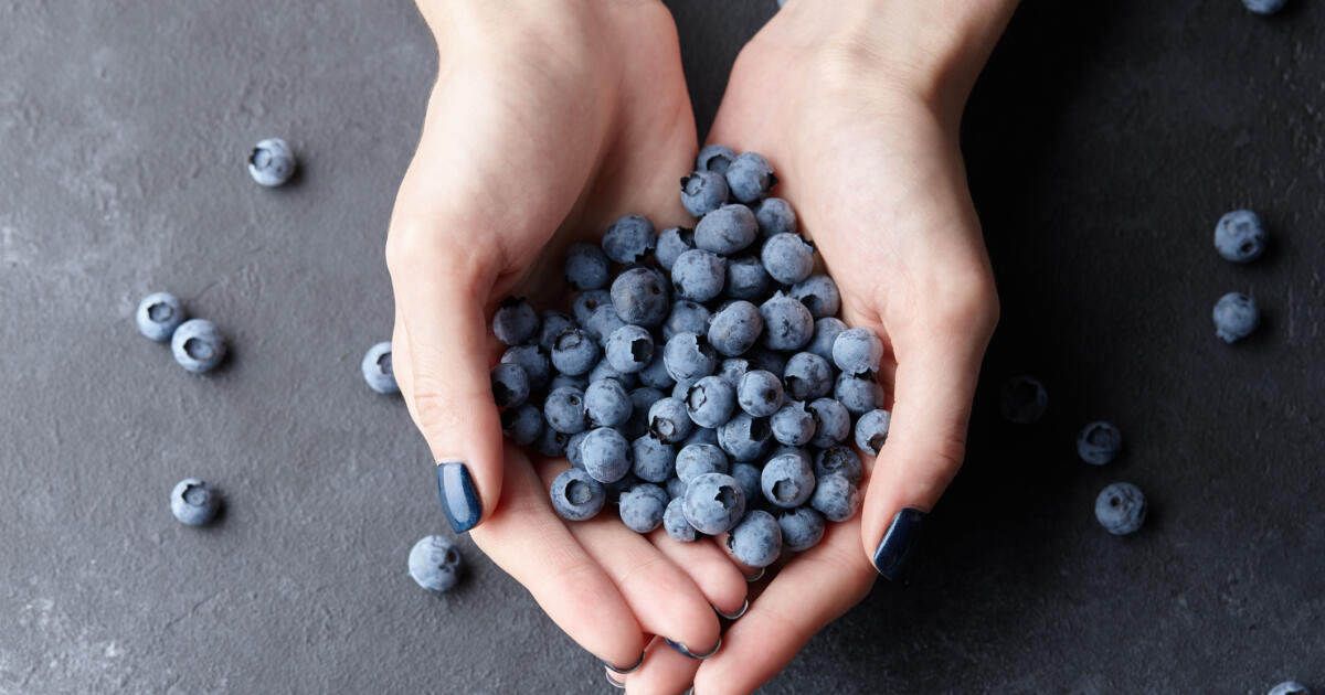 Do blueberries stimulate your brain?