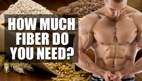 Do bodybuilders eat a lot of fiber?