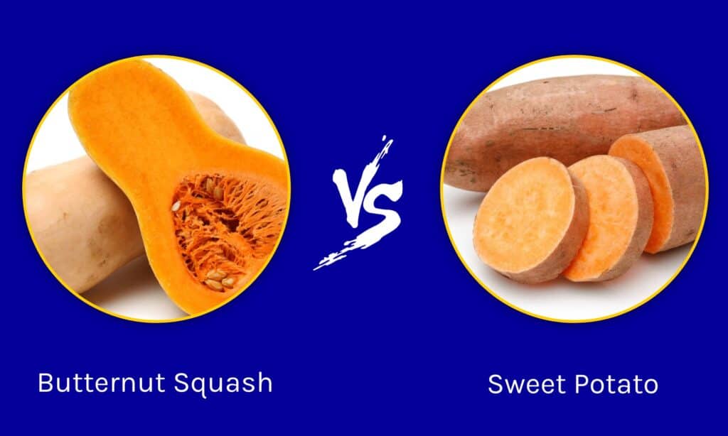 Do butternut squash and sweet potato taste the same?