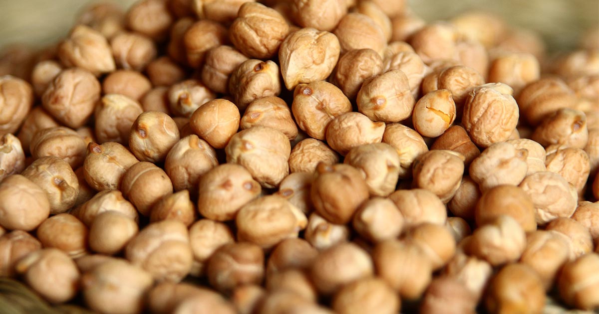 Do chickpeas block calcium absorption?