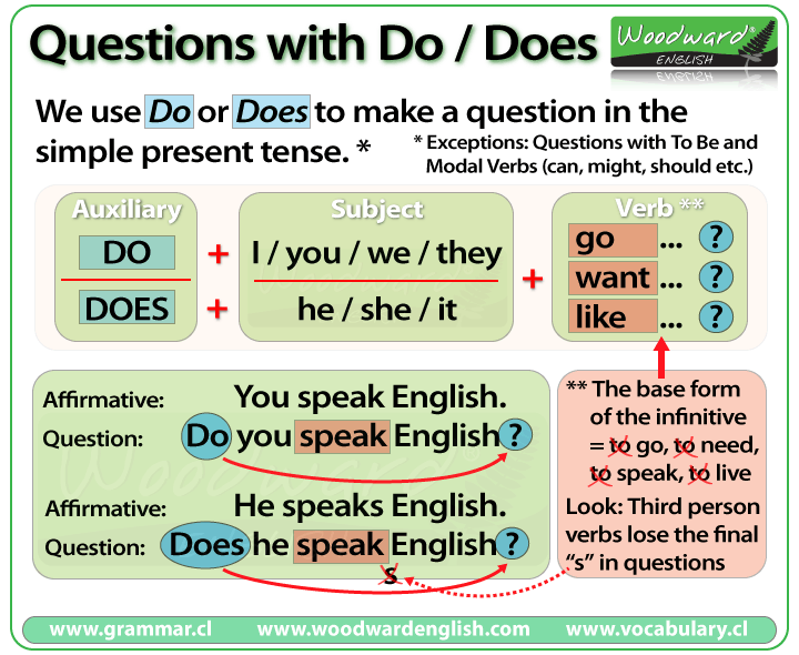 Do do questions examples?