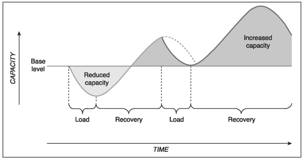 Do fitter people recover quicker?