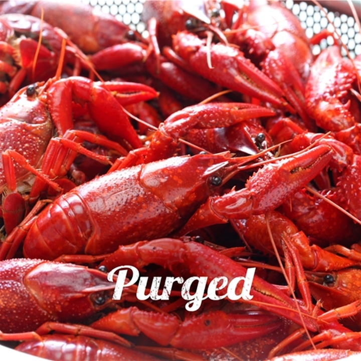 Do frozen crawfish need to be purged?