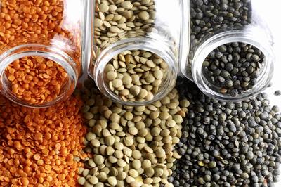 Do lentils make you gain or lose weight?