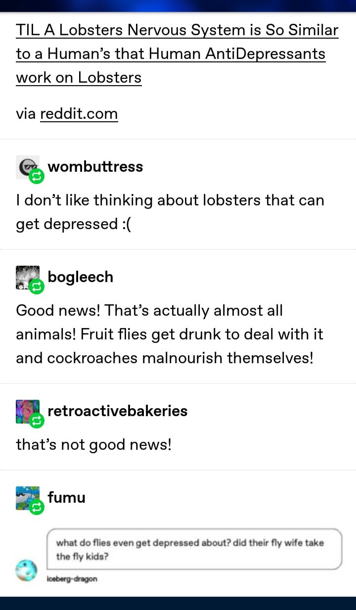 Do lobsters get depressed?