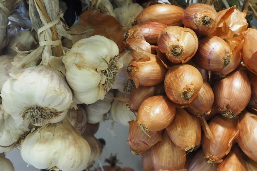 Do onions and garlic grow well together?