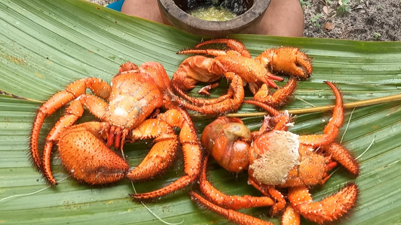 Do people cook hermit crabs?