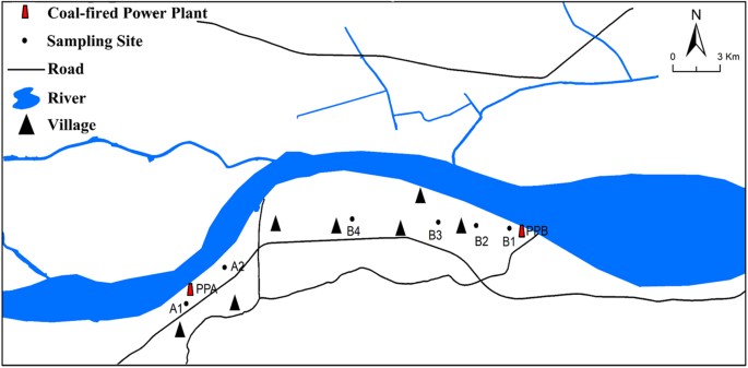 Do plants contain mercury?