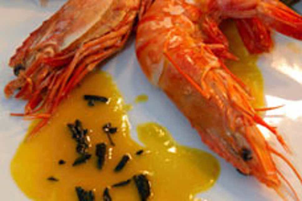 Do prawns feel pain when cooked alive?