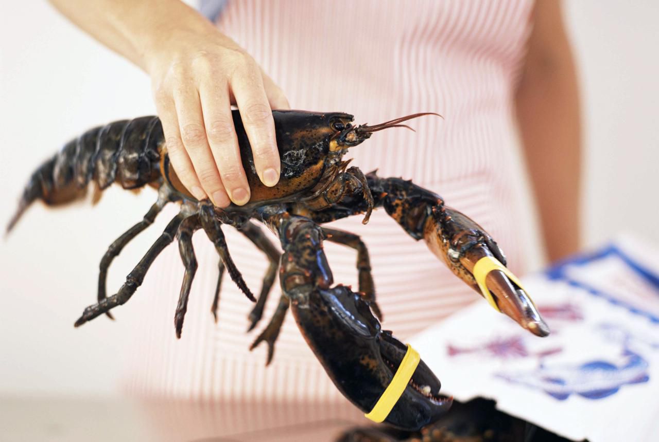 Do restaurants kill lobster before cooking?