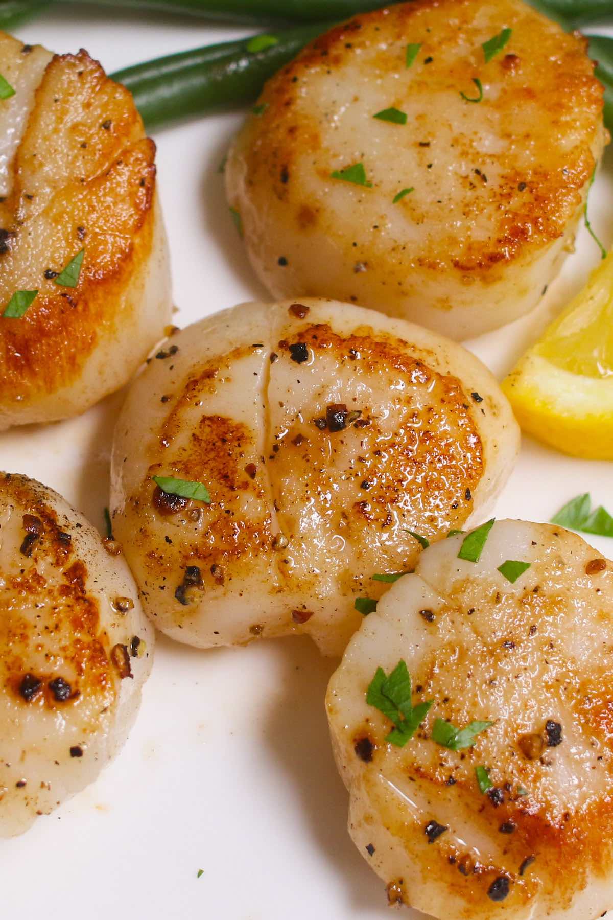 Do scallops and shrimp taste similar?