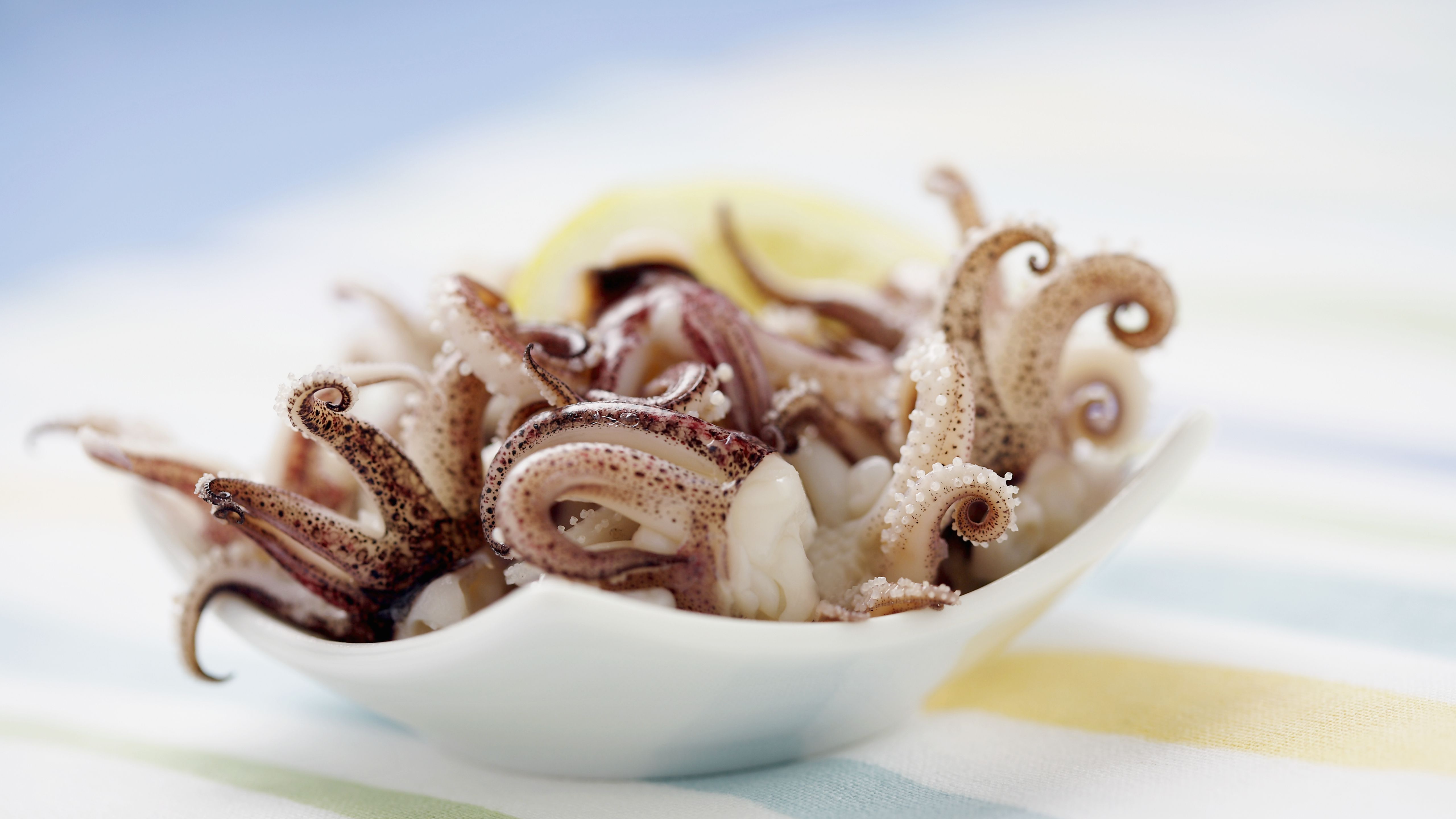 Do you have to defrost squid before cooking?
