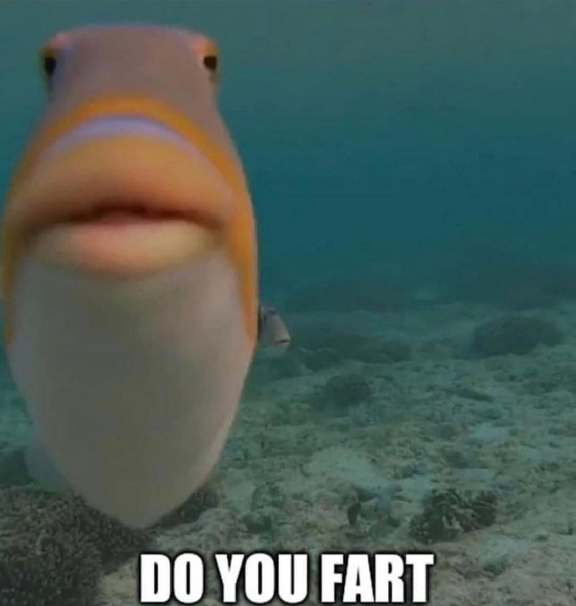 Do you know how do you fart?