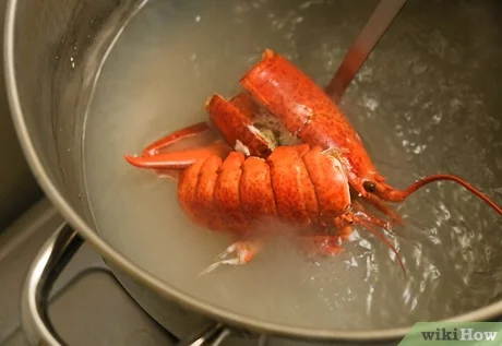Do you rinse off lobster?