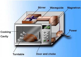Does a microwave cook from the inside out or from the outside in?