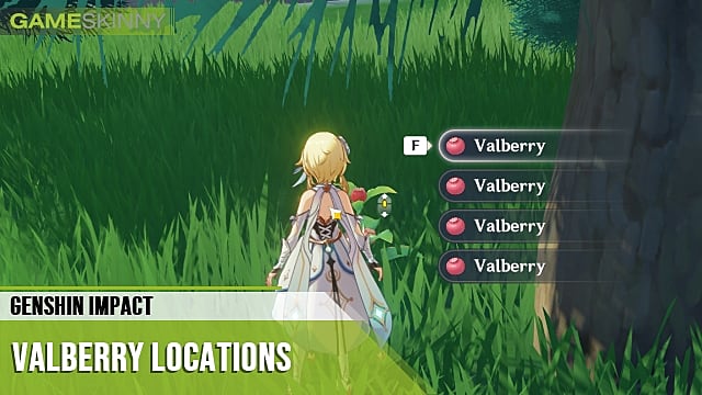 Does anyone sell Valberries?