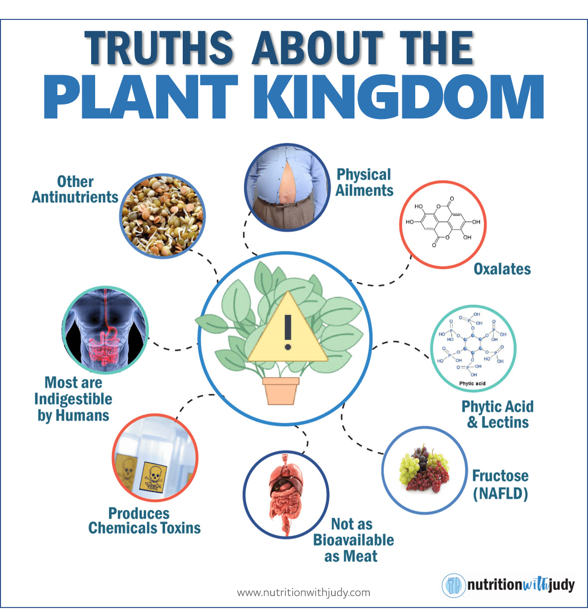 Does avocado have phytic acid?