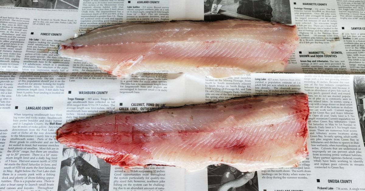 Does bleeding a fish make it taste better?