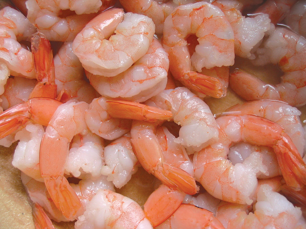 Does boiling shrimp kill bacteria?