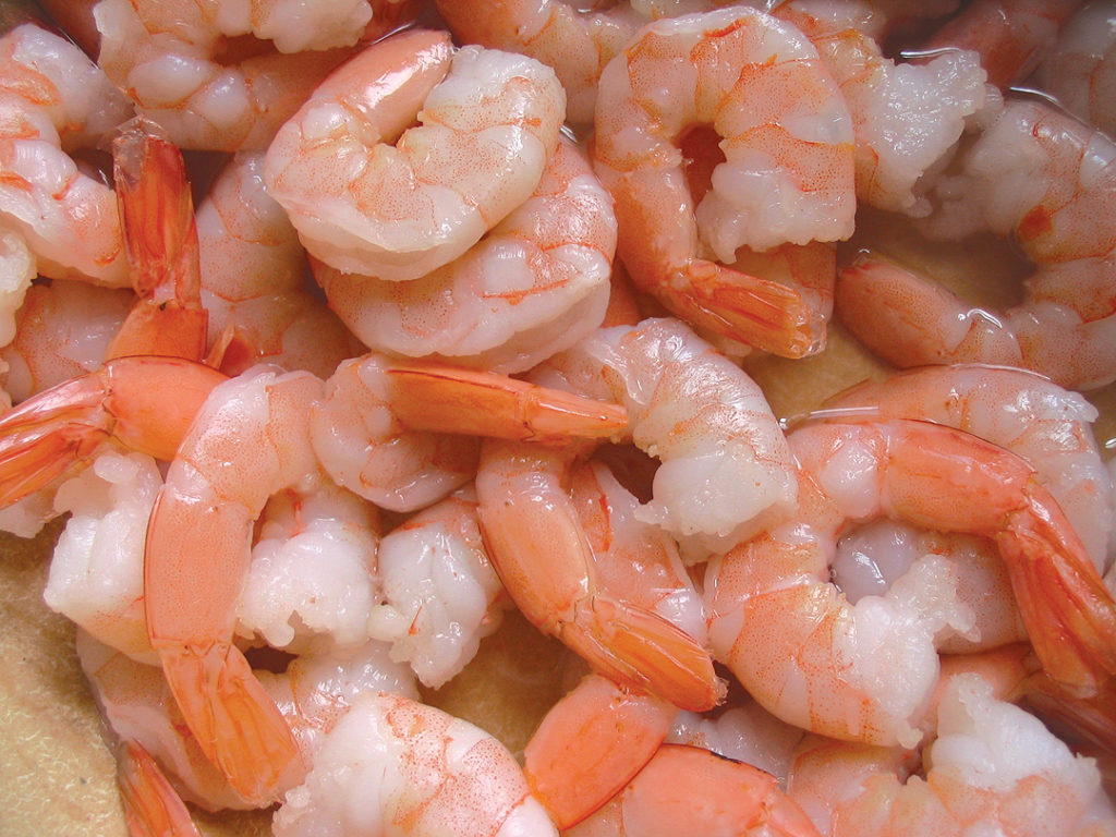 Does boiling shrimp kill salmonella?