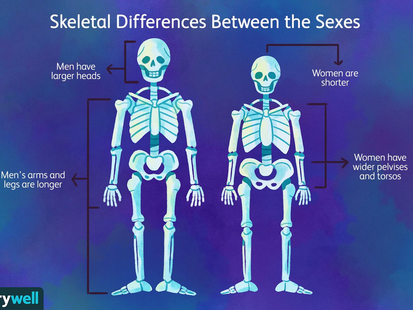 Does bone in really make a difference?
