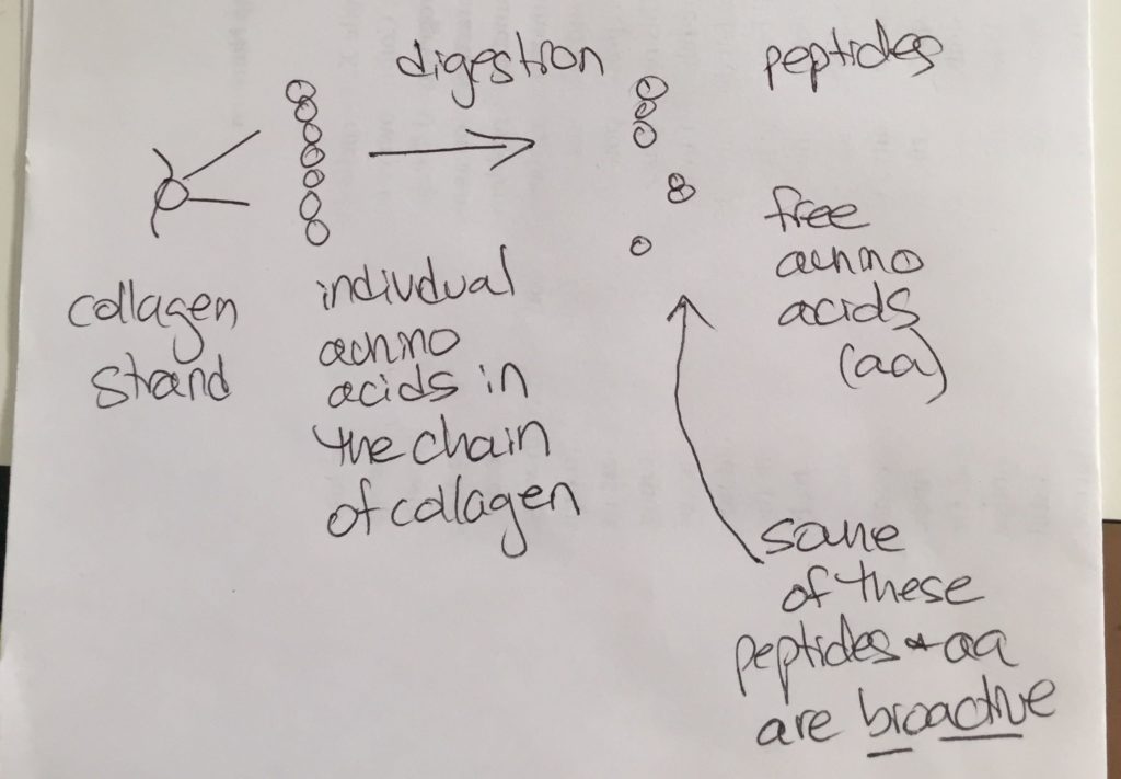 Does collagen break down when cooked?