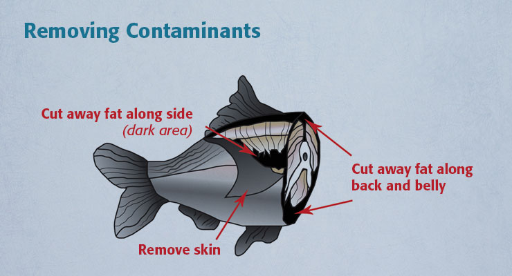 Does cooking fish remove mercury?