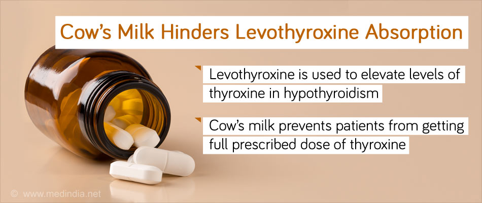 Does dairy affect thyroid medication?