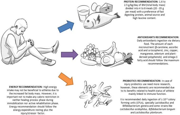 Does eating protein prevent injury?