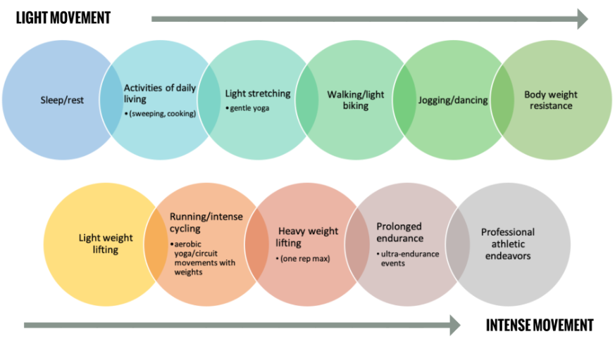 Does exercise slow down digestion?