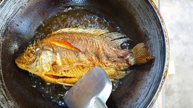 Does fish fall apart when cooked?