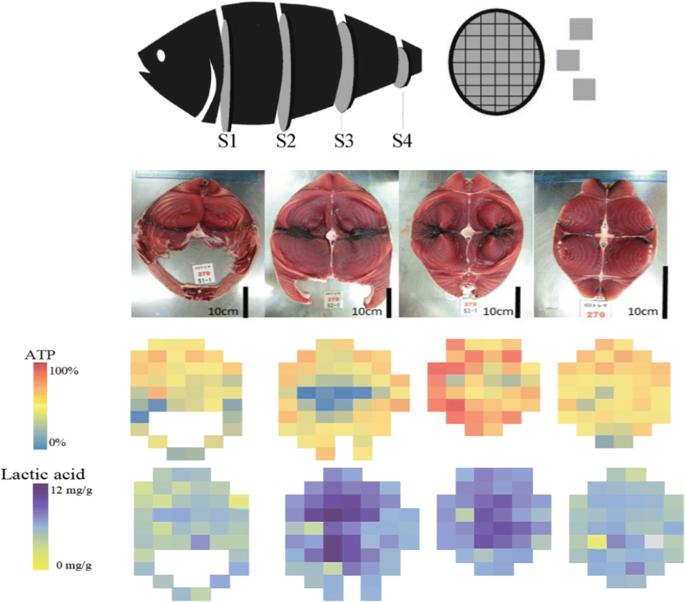 Does fish lose quality when frozen?