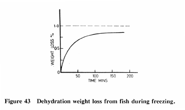 Does fish lose weight when frozen?