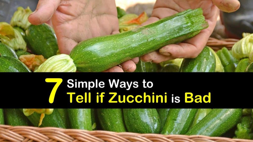 Does Frozen Zucchini go bad?