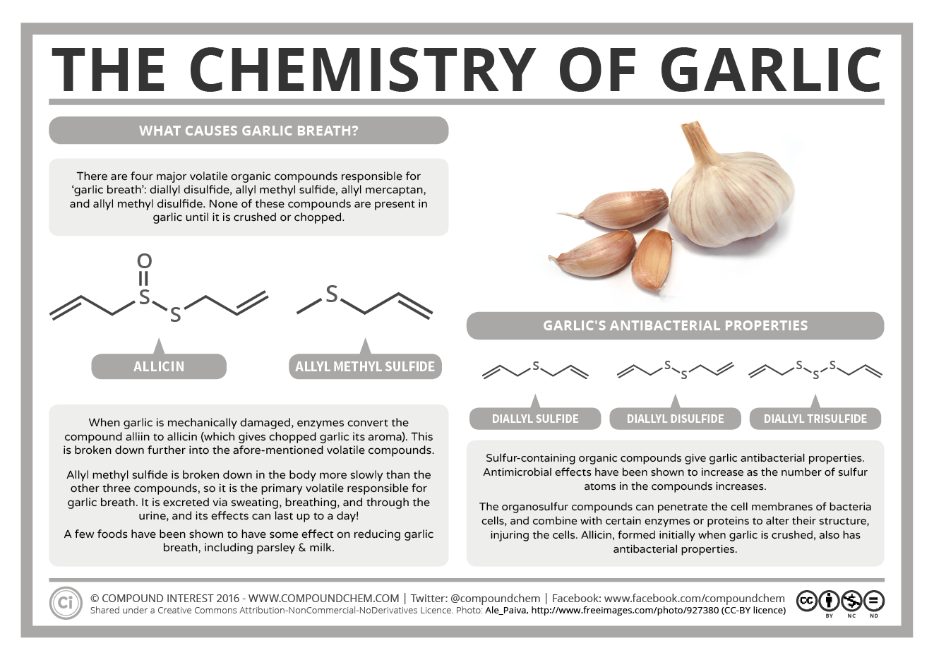 Does garlic have antibacterial?