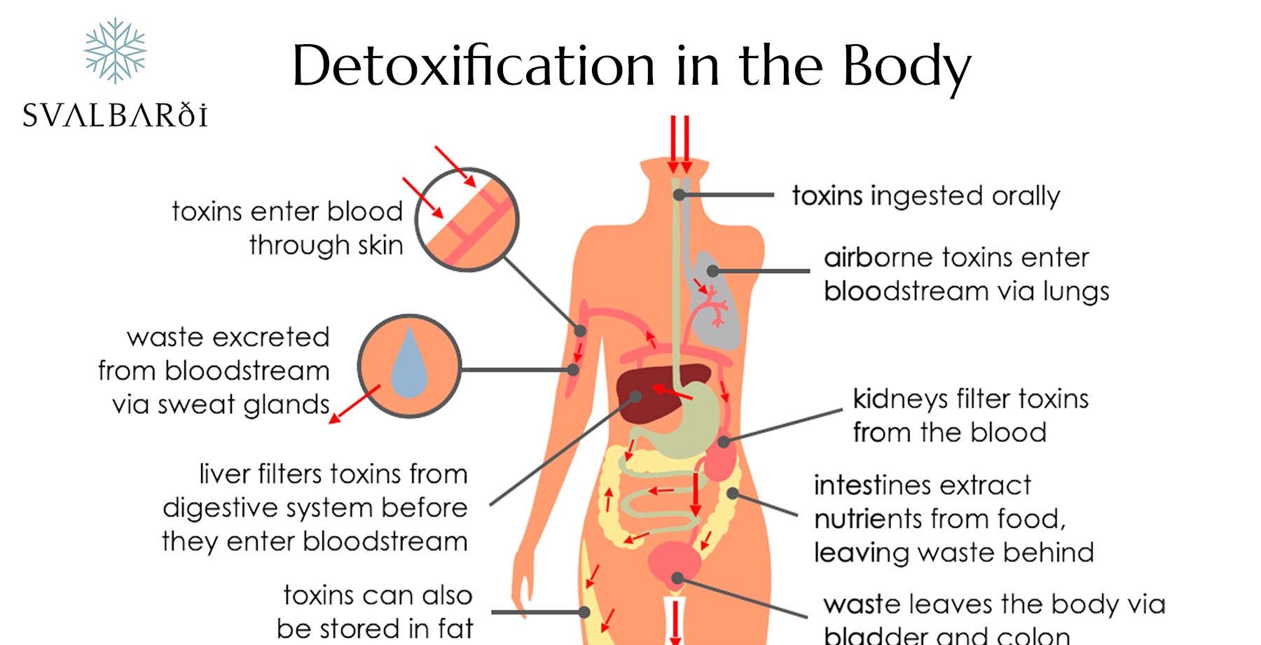 Does hot water damage kidneys?
