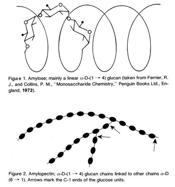 Does hot water dissolve starch?