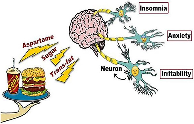 Does junk food affect your brain?