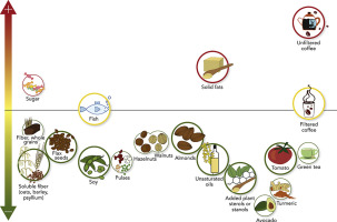Does protein affect cholesterol levels?
