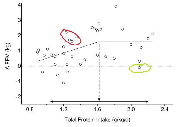 Does protein carry over to the next day?