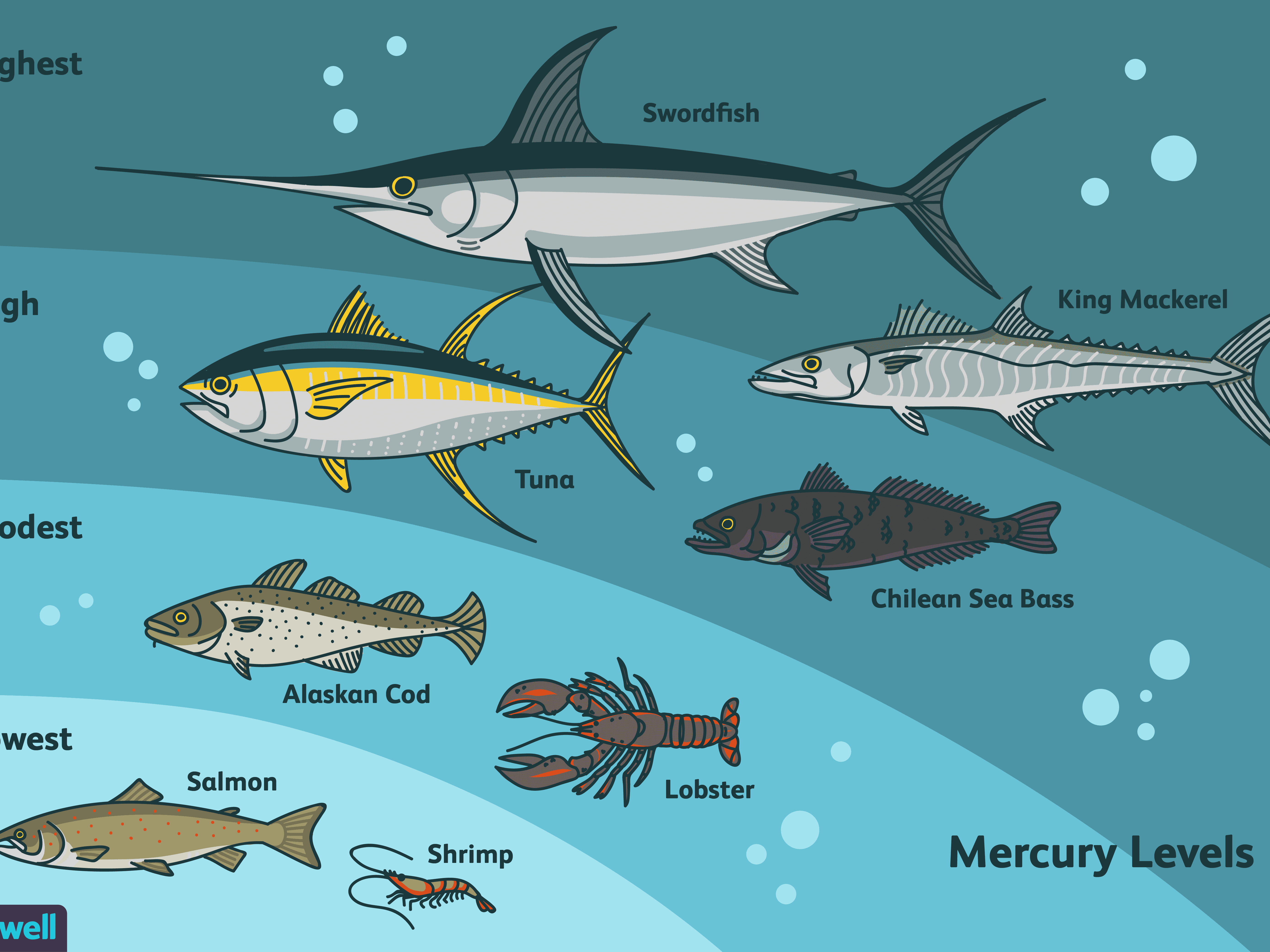 Does salmon have less mercury than tuna?