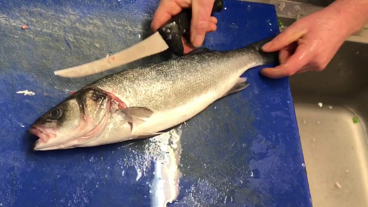 Does sea bass have pin bones?