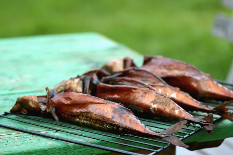 Does smoking fish make your smoker stink?